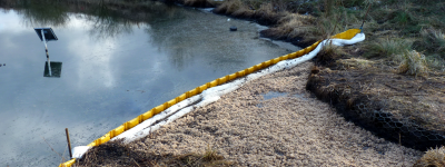 Pond ecology and conservation: research priorities and knowledge gaps ...